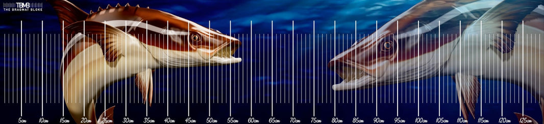 High Quality Fishing Brag Mats – thebragmatbloke