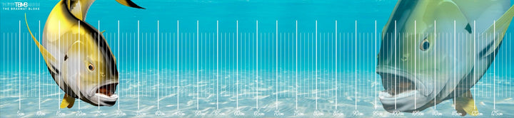 High Quality Fishing Brag Mats – thebragmatbloke